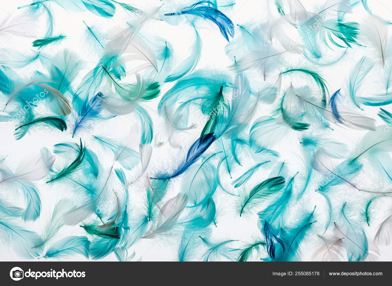 Seamless Background Green Grey Turquoise Fluffy Bright Feathers ...