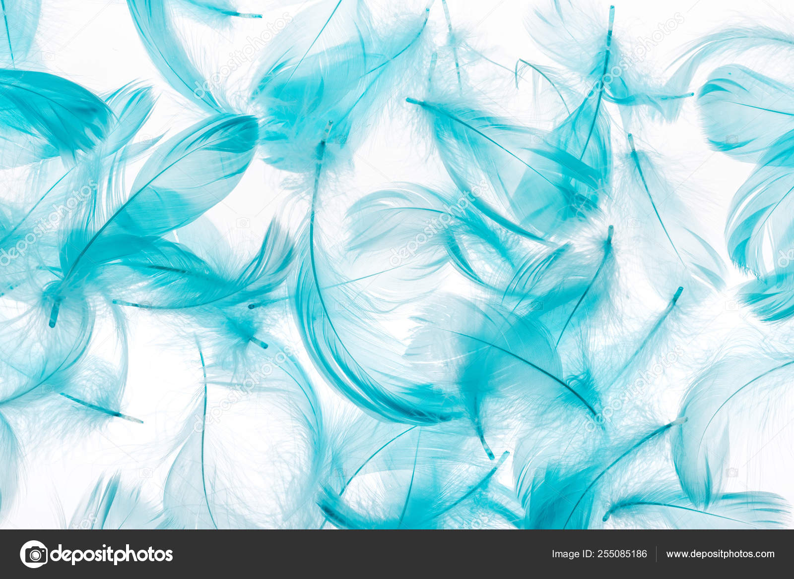 Background: fluffy blue | Seamless Background Blue Fluffy Bright ...