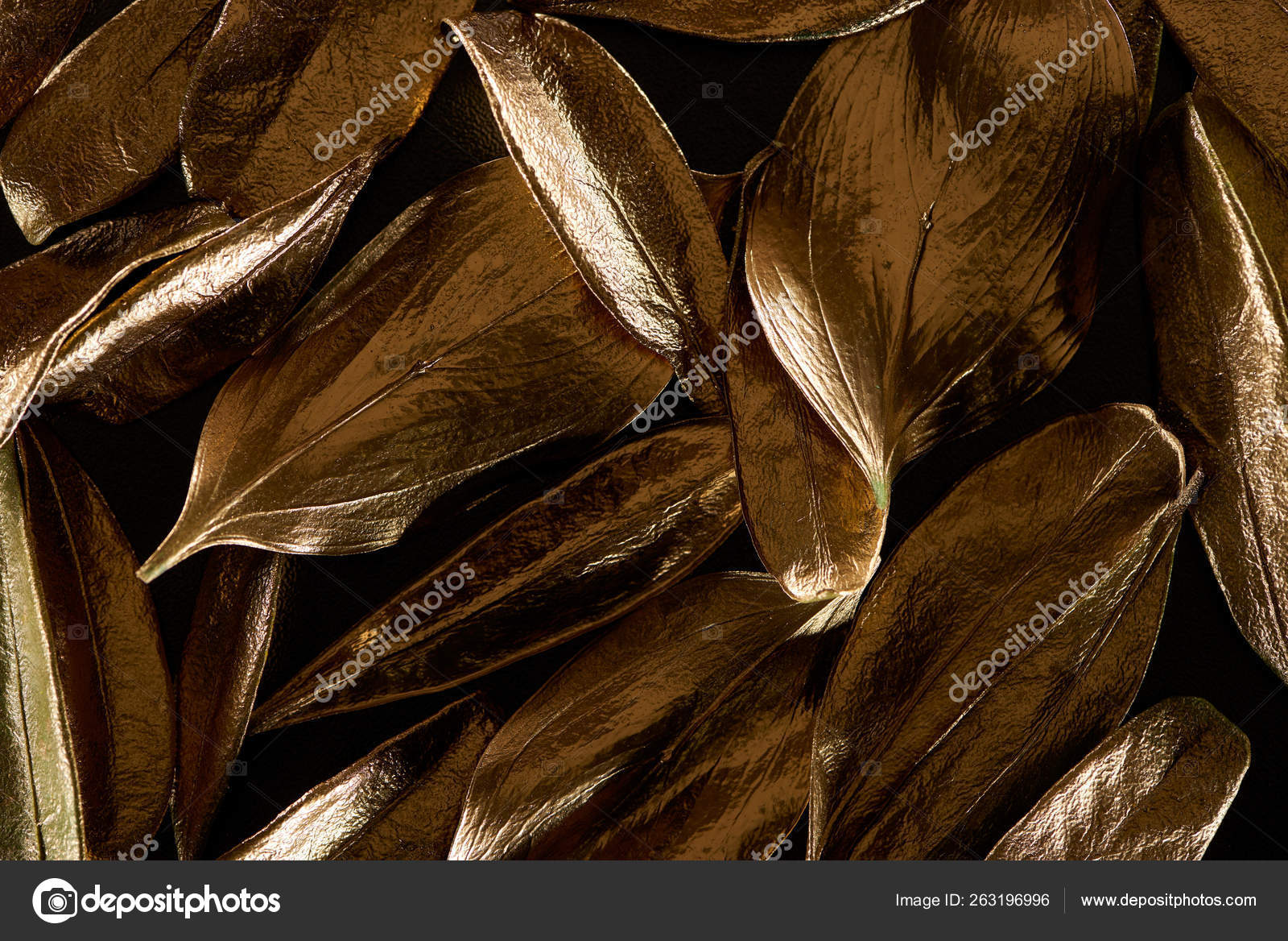 Close Golden Metal Decorative Leaves Isolated Black Stock Photo by ...