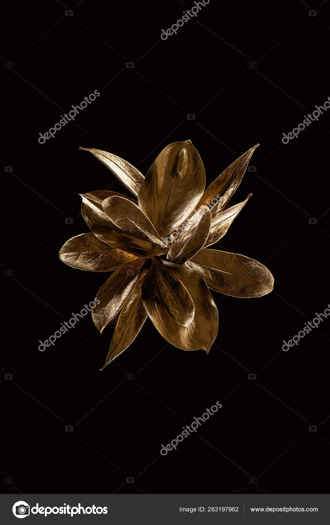 Top View Golden Metal Decorative Flower Isolated Black — Stock Photo ...