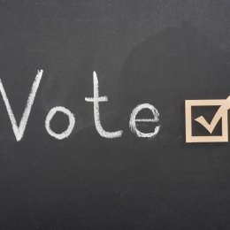 11,885 Voting Vector Images | Depositphotos