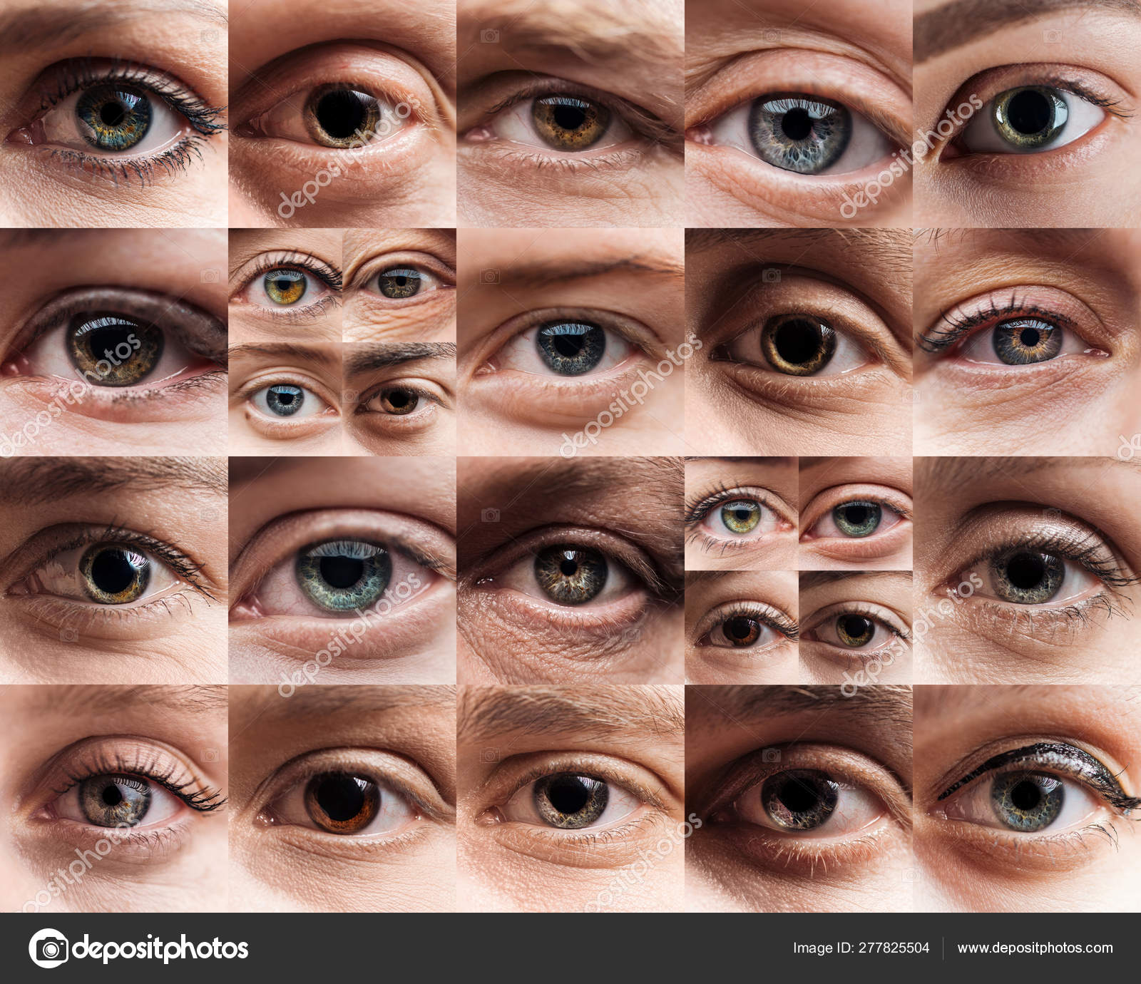 Yeux De Différentes Couleurs