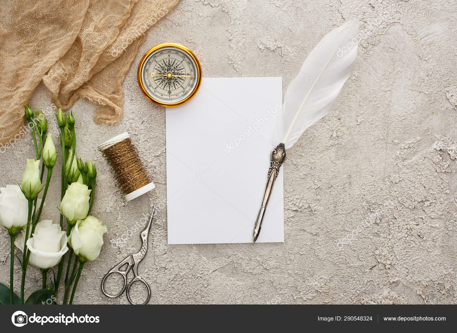 Vista Superior Pluma Pluma Pluma Tarjeta Blanco Cerca Brújula Dorada ...