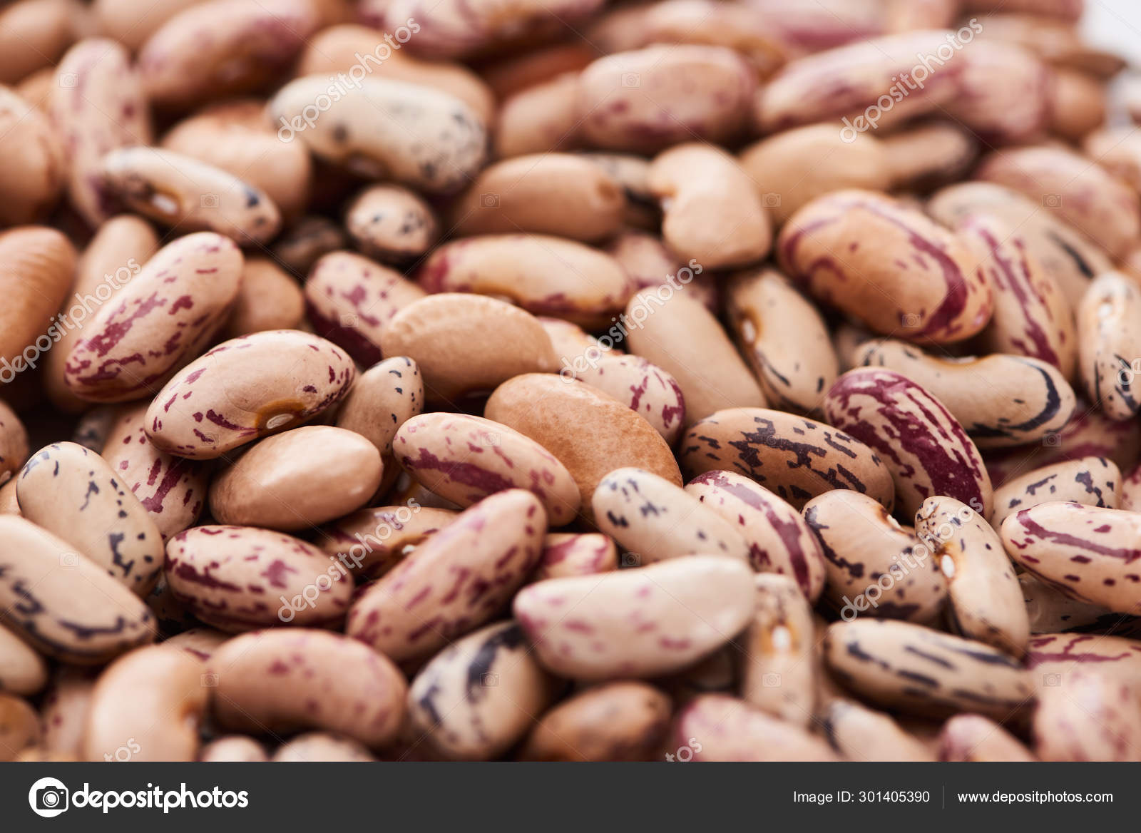 Close View Uncooked Pinto Beans — Stock Photo © VadimVasenin #301405390