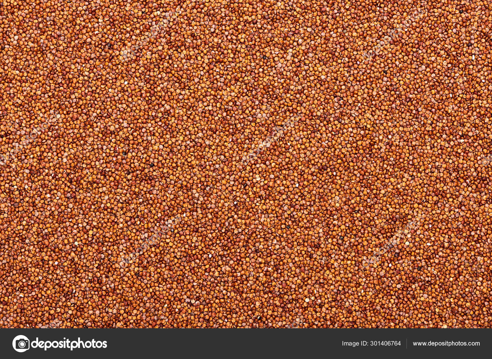 Top View Raw Organic Red Quinoa — Stock Photo © VadimVasenin #301406764