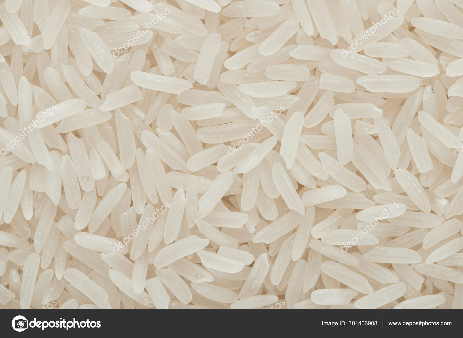 Close View Unprocessed Organic White Rice — Stock Photo © VadimVasenin ...