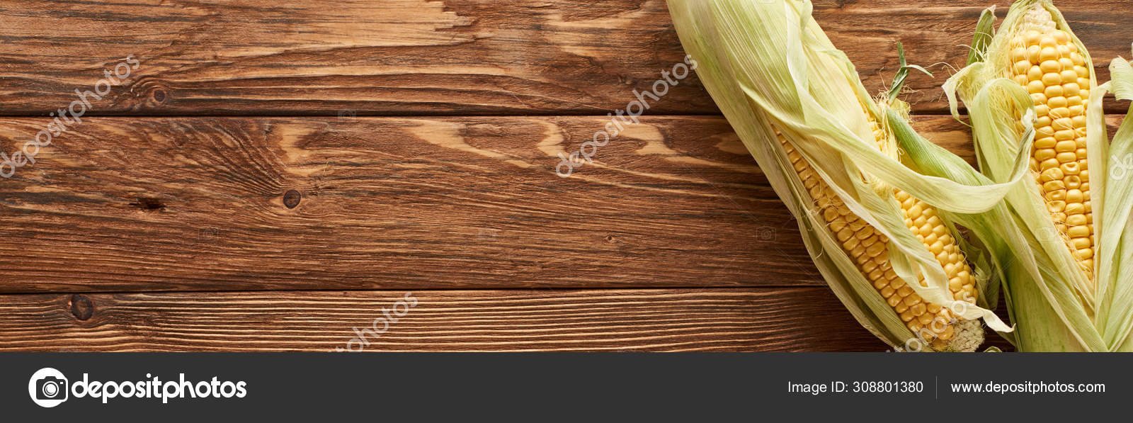 Panoramic Shot Raw Sweet Corn Brown Wooden Surface Copy Space Stock ...