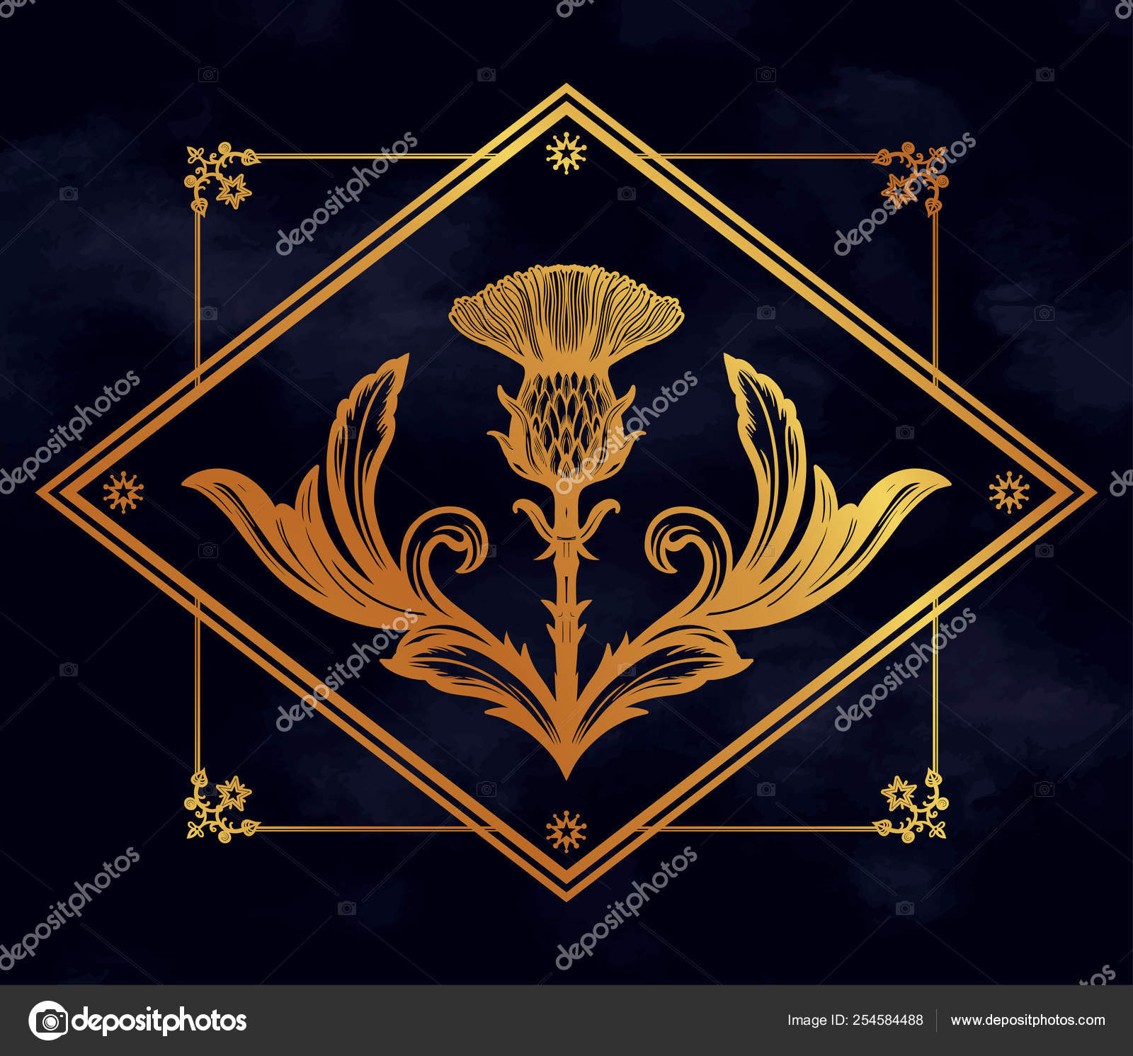 Thistle flower -the Symbol Of Scotland. Stock Vector Image by ...