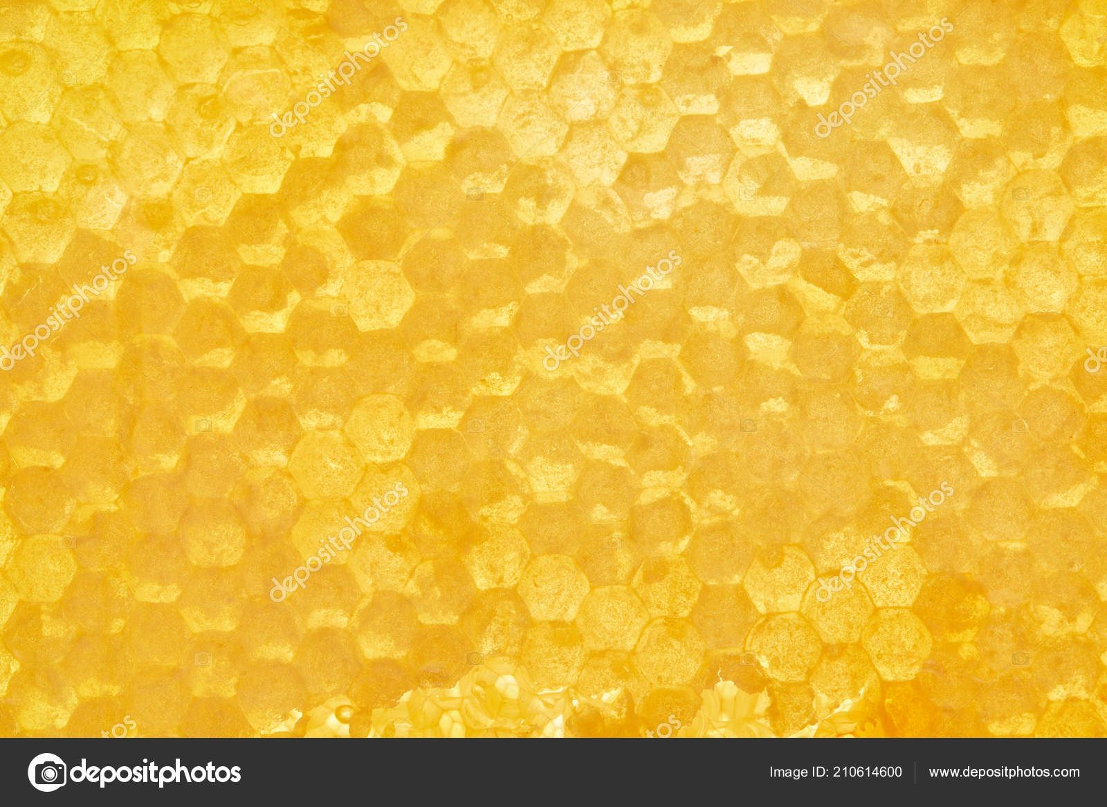 Full Frame Beeswax Honey Background — Stock Photo © AntonMatyukha ...