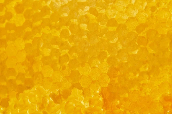 Full Frame Beeswax Honey Background — Stock Photo © AntonMatyukha ...