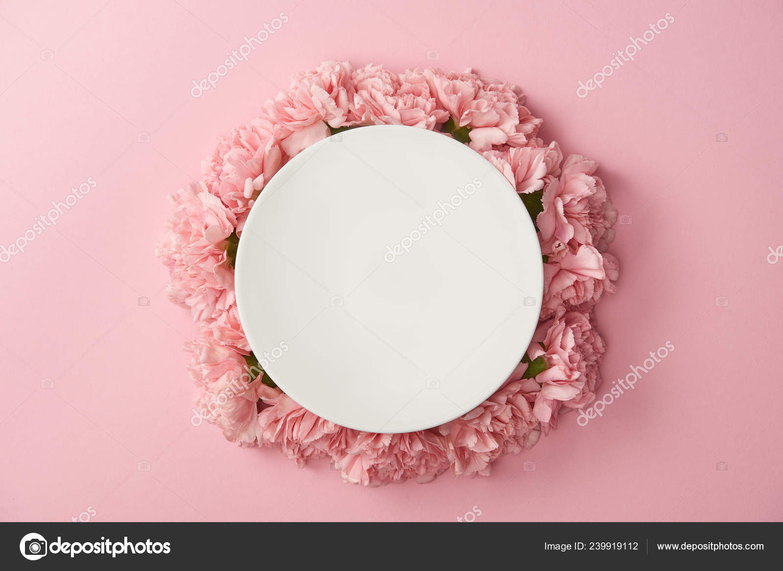Top View White Plate Beautiful Pink Flowers Isolated Pink Background ...