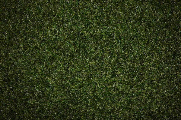 Grass top view Stock Photos, Royalty Free Grass top view Images ...