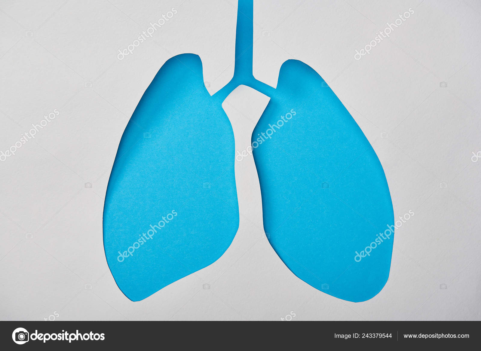 Vista Superior Del Modelo Pulmones Azules Vacíos Aislados Blanco — Foto ...