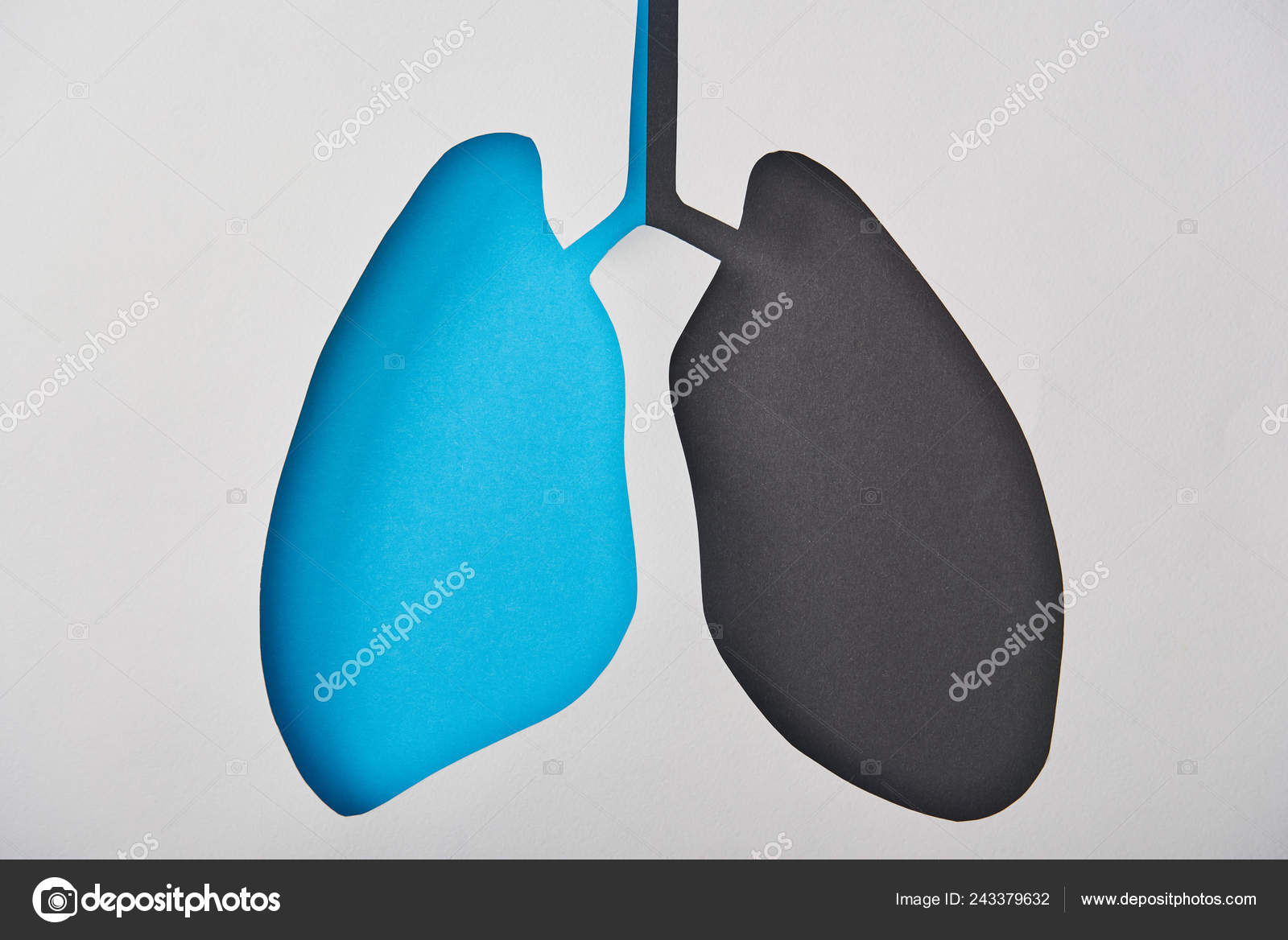 Top View Empty Blue Black Lungs Model Isolated White — Stock Photo ...