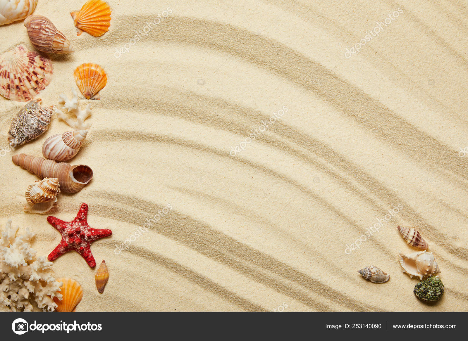 Top View Seashells Red Starfish Corals Sandy Beach — Stock Photo ...