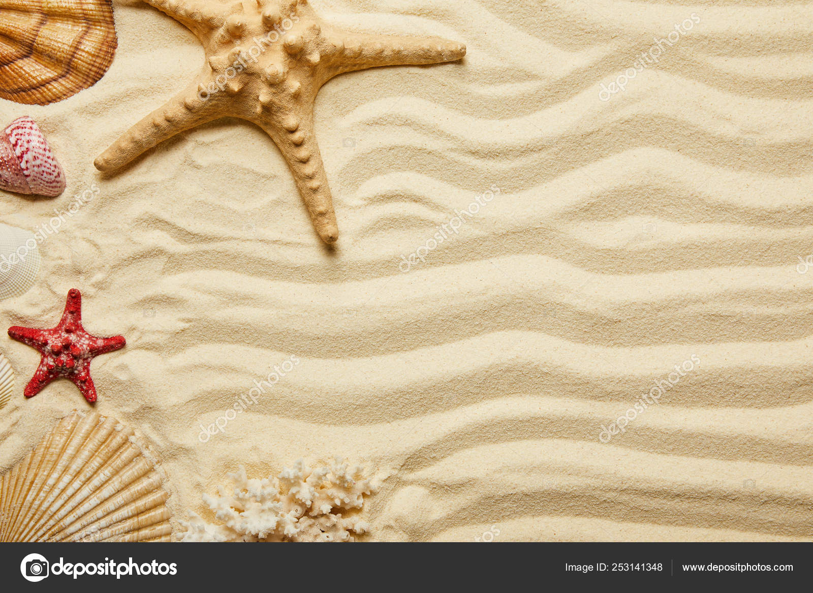 Top View Red Yellow Starfish Seashells Coral Sandy Beach Summertime ...