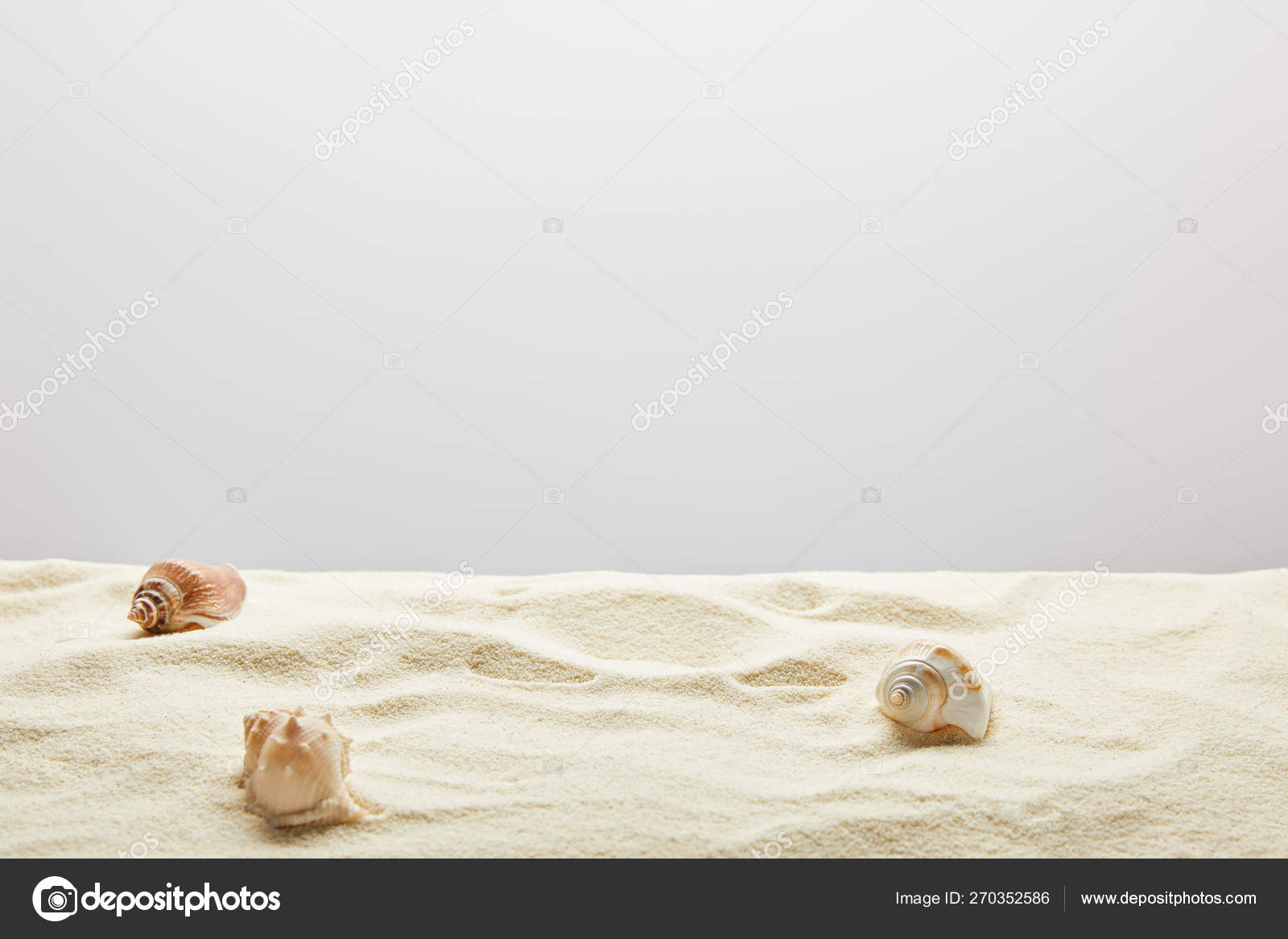 Scattered Seashells Textured Sand Grey Background Stock Photo by ...