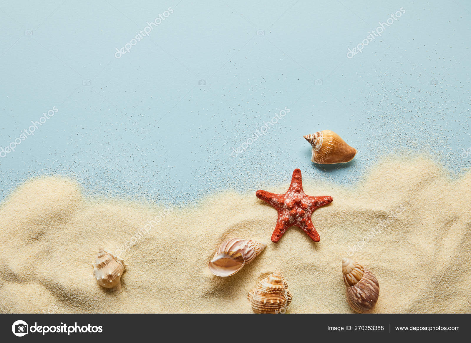 Top View Textured Wavy Sand Seashells Starfish Blue Background Copy ⬇ ...