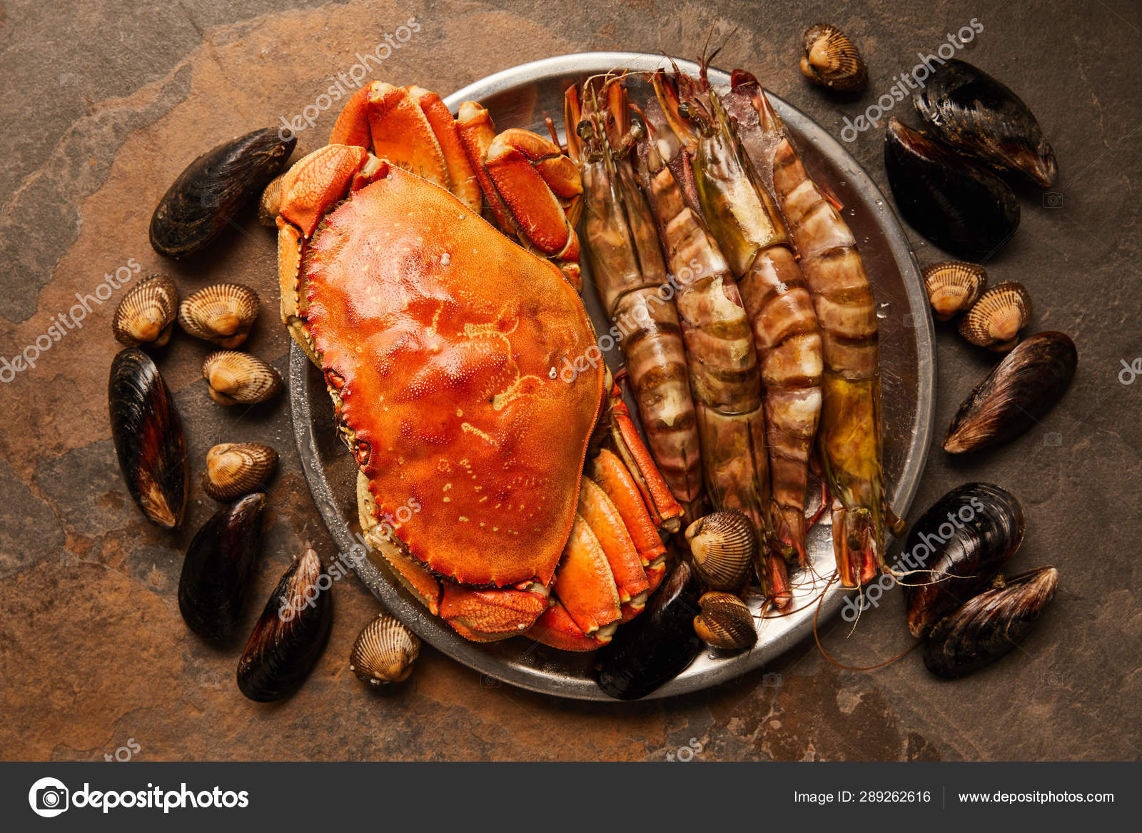 Top View Raw Crab Shellfish Bowl Scattered Cockles Mussels Textured ...