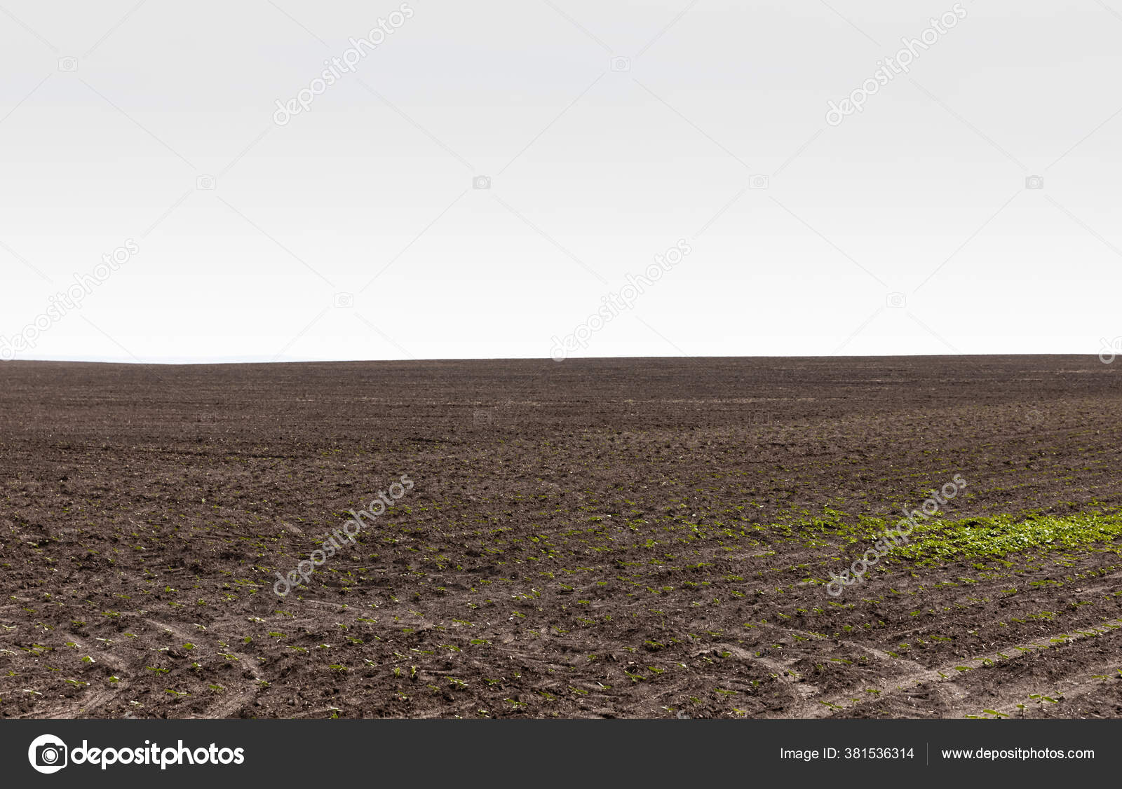 Grassy Land Ground Grey Sky — Stock Photo © AntonMatyukha #381536314