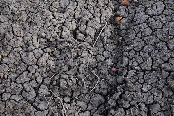 Dry soil abstract background. Drought. Gray dry soil. Soil background ...