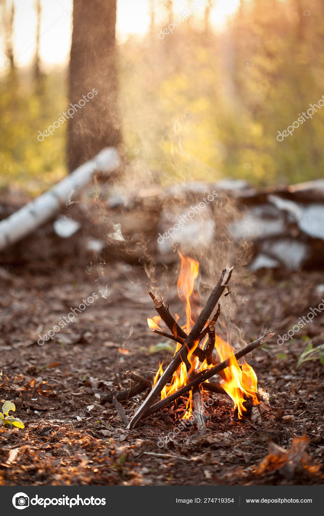 Small Campfire