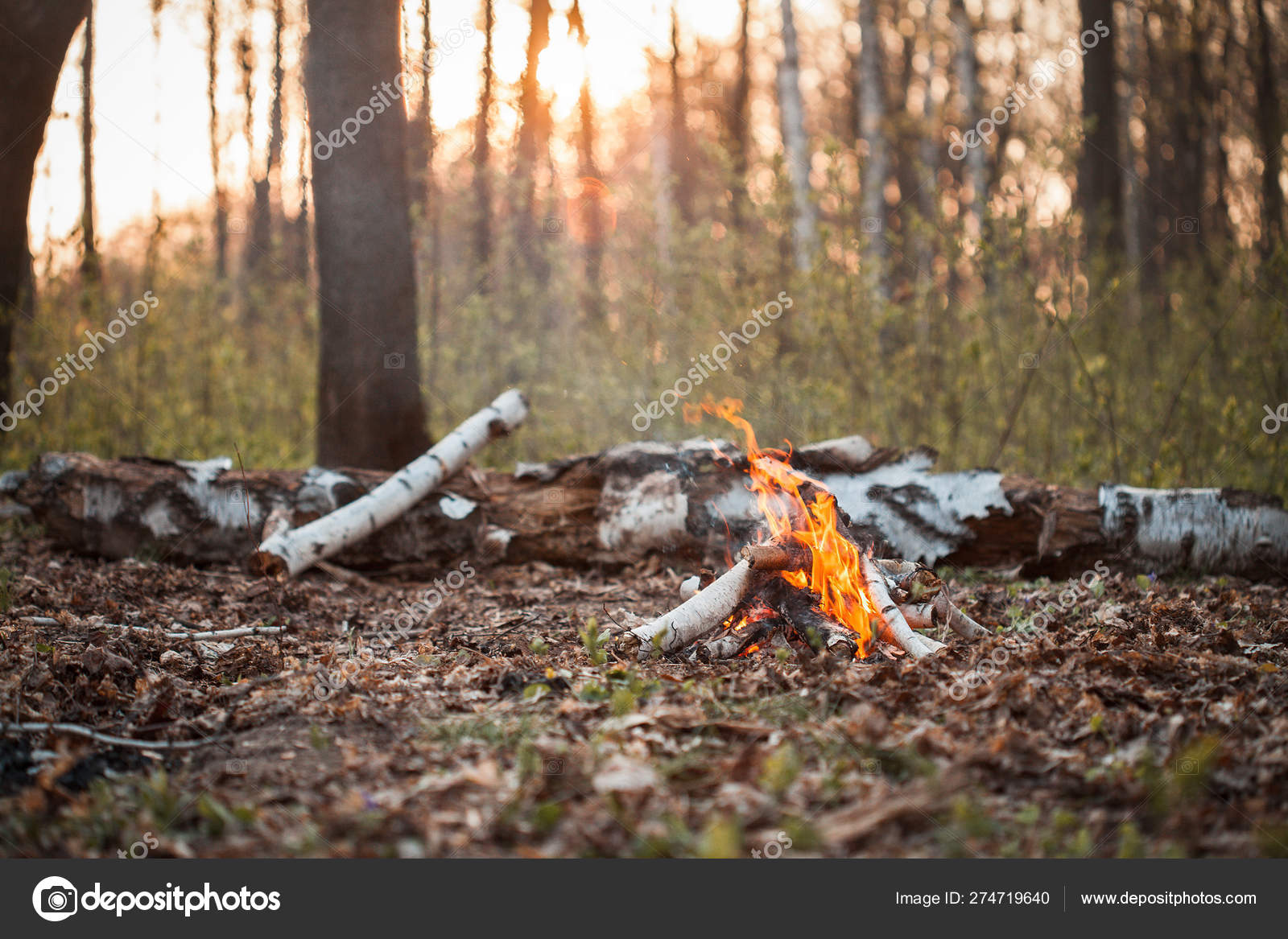 Bonfire Forest Sunset Stock Photo by ©Dima_Aslanian 274719640
