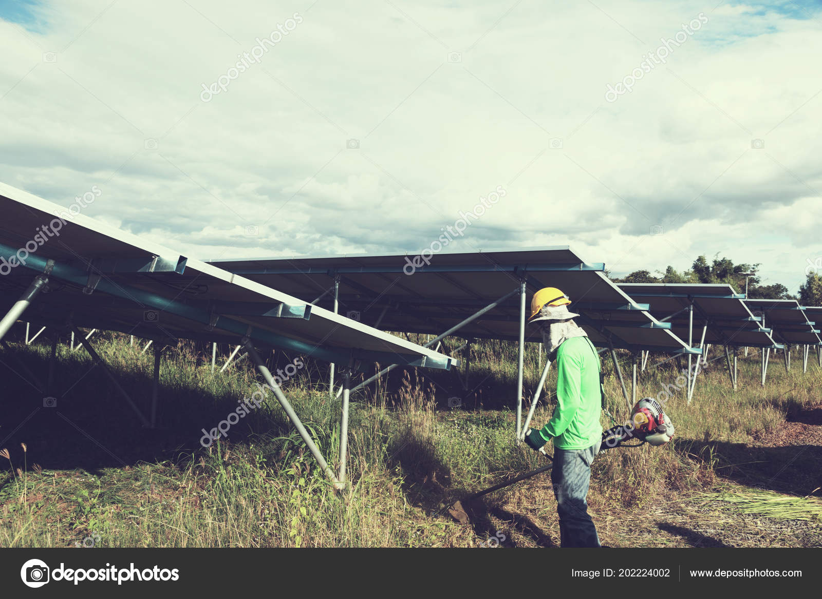 Labor Working Cleaning Solar Power Plant Stock Photo by ©onlykim 202224002