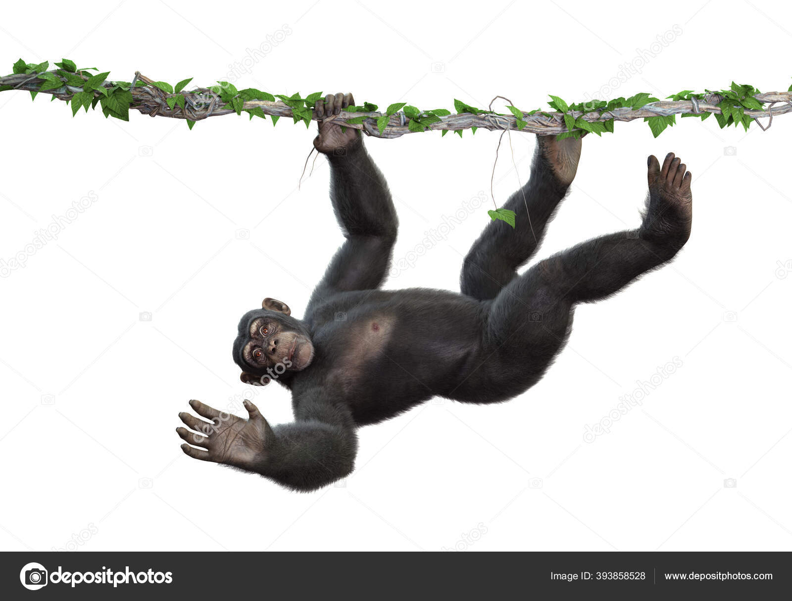 Chimp Hanging Out Vine Render — Stock Photo © AlienCat #393858528