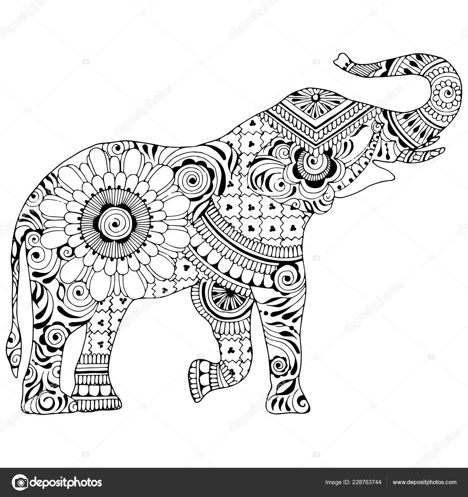 Indian Elephant Head Trunk Up