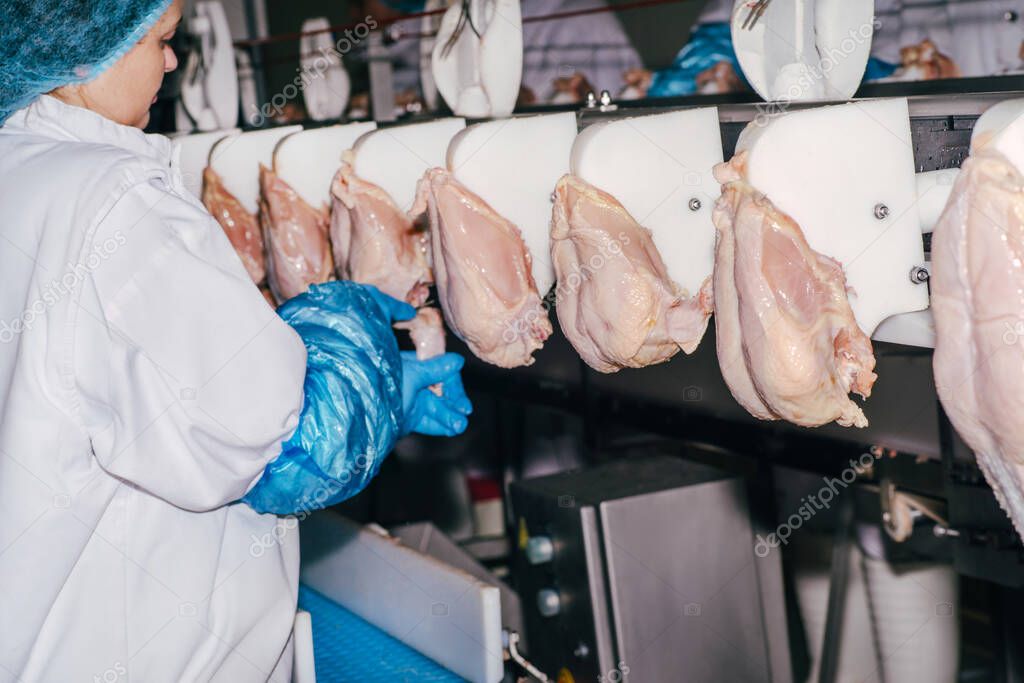Detalle de la industria alimentaria con procesamiento de carne de ave.Fábrica para la producción ...