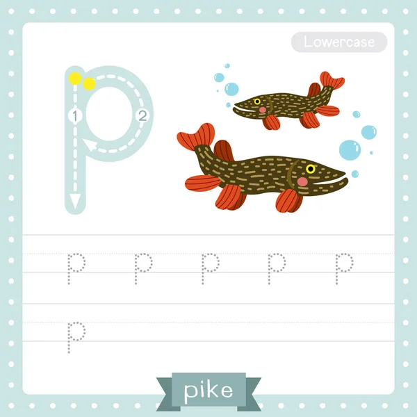 Letter Lowercase Cute Children Colorful Zoo Animals Abc Alphabet ...