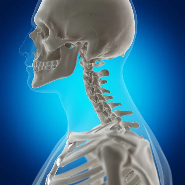 Neck injuries Stock Photos, Royalty Free Neck injuries Images ...