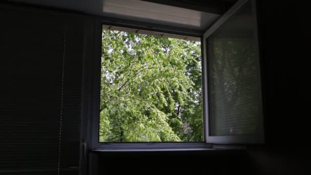 Window with view of winter trees Stock Photo by ©elenathewise 59667811