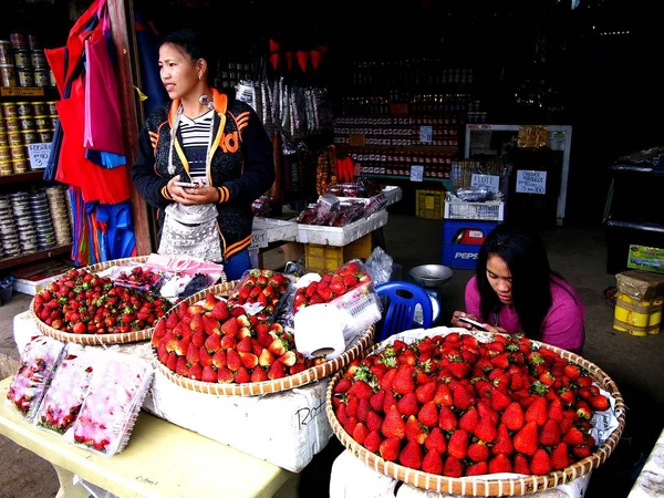 Benguet Stock Photos, Royalty Free Benguet Images | Depositphotos®