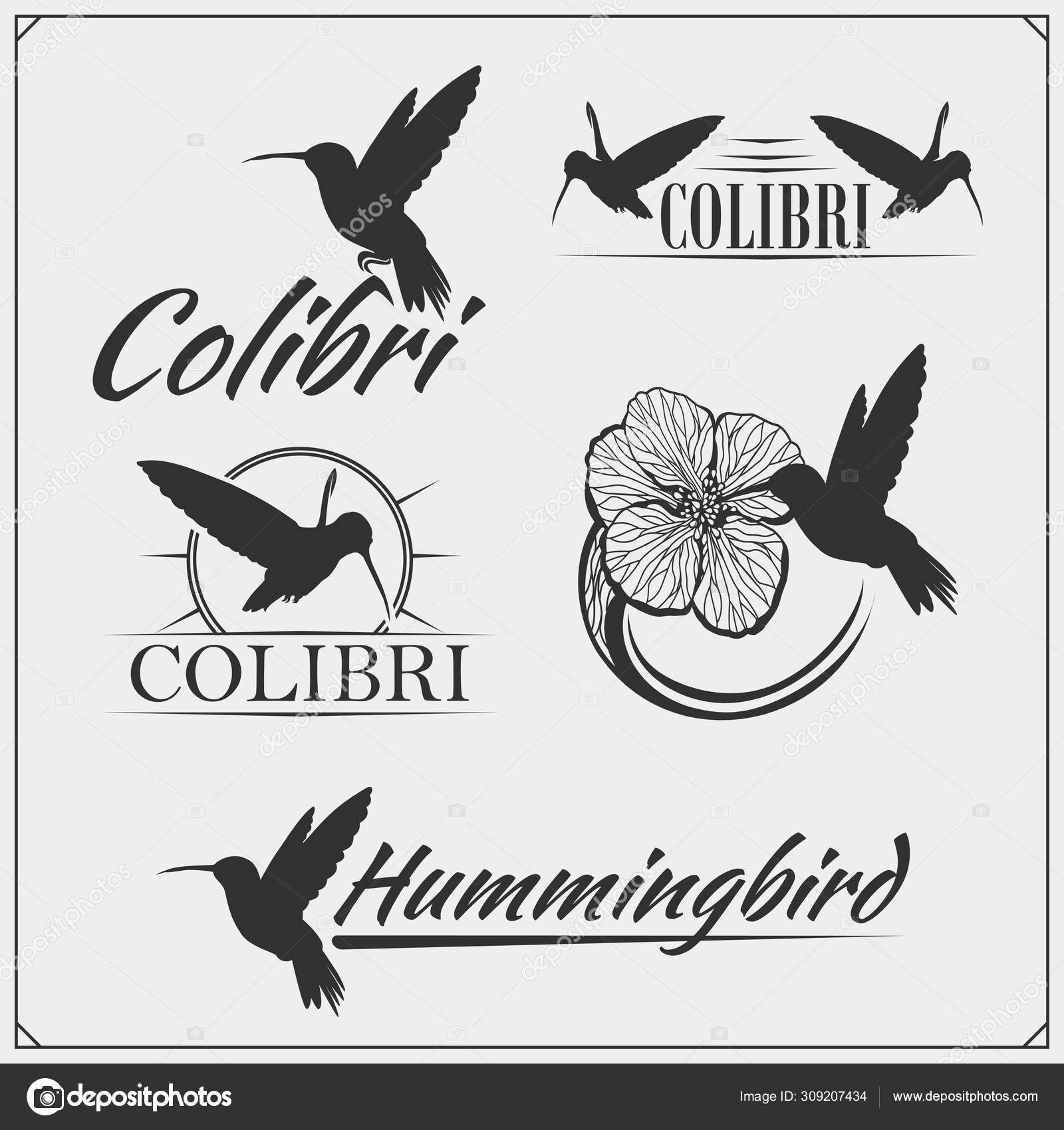 Image vectorielle Colibri Colibri Colibri Silhouettes Logos Emblèmes ...