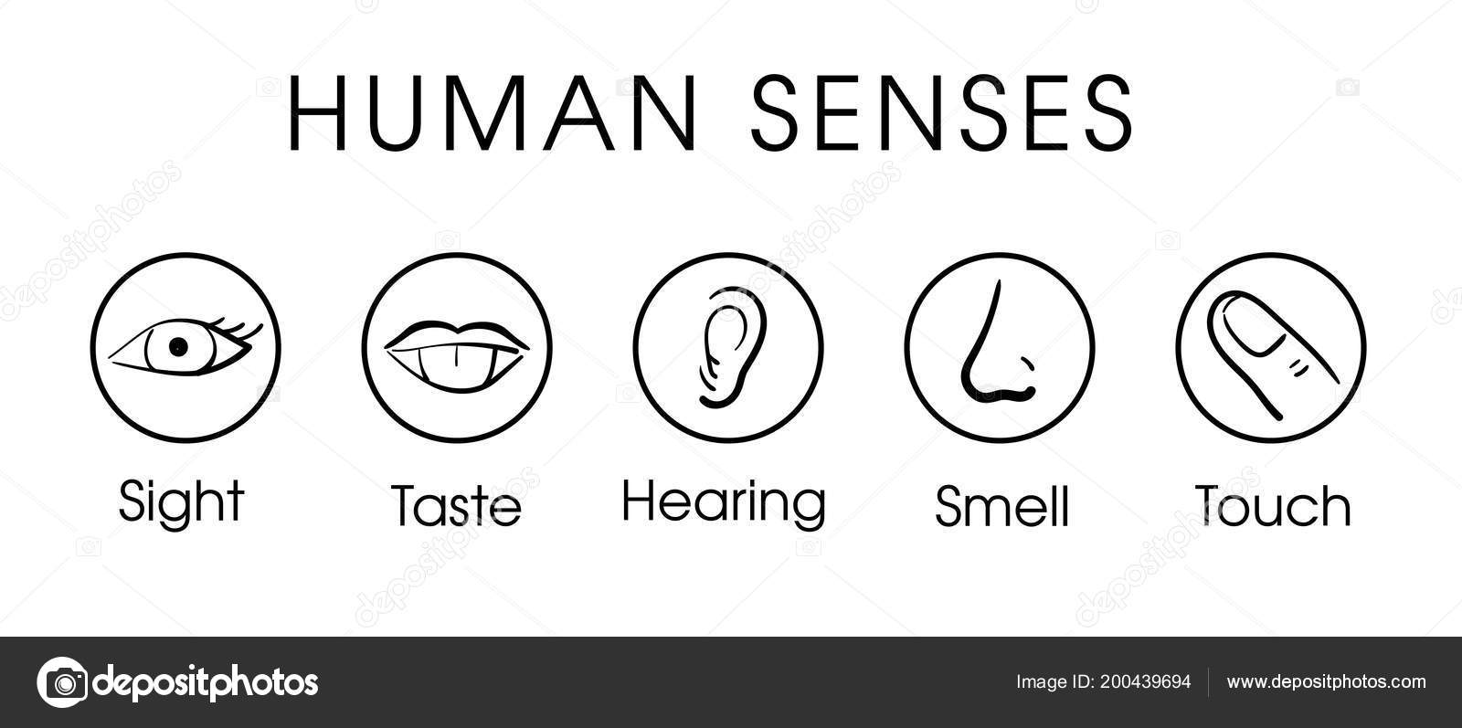 Touch Sense Black And White