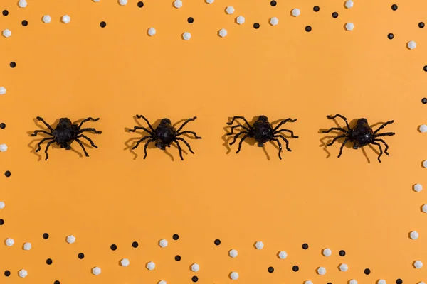 Halloween spiders overhead view — Stock Photo © Melpomene #312420558