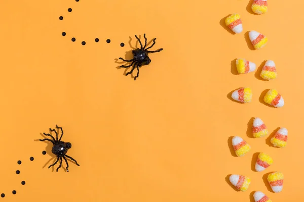 Halloween spiders overhead view — Stock Photo © Melpomene #312420558