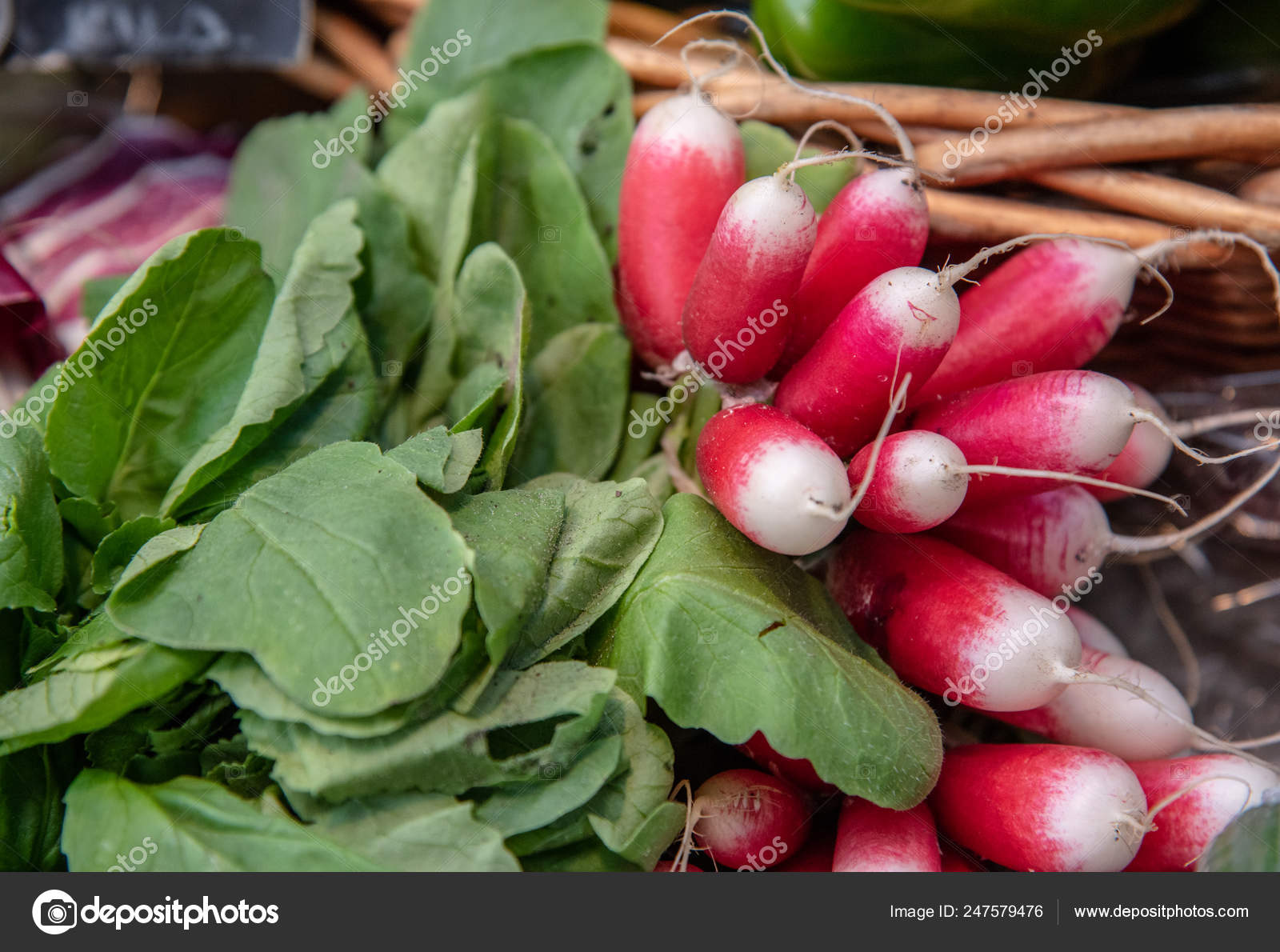 Beet, vegetable full of nutrition for a healthy lifestyle — Stock Photo ...