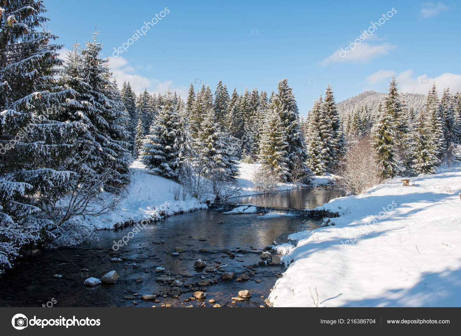 Forest Stream Winter