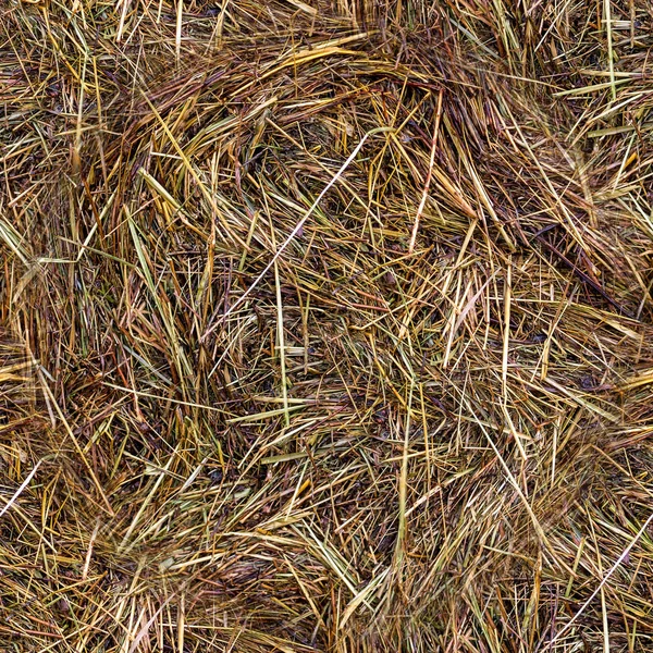 307 Hay texture seamless Stock Photos, Hay texture seamless Images ...