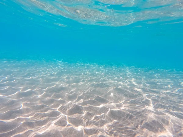 Underwater Stock Photos, Royalty Free Underwater Images | Depositphotos