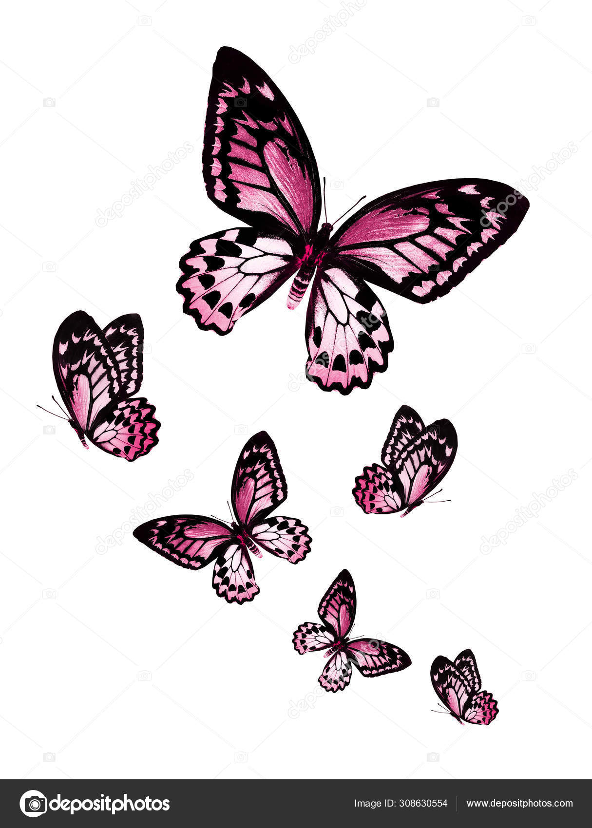 Flock Flying Butterflies Isolated White Stock Illustration by ©sun ... Flock Flying Butterflies Isolated White Stock Illustration by ©sun ...