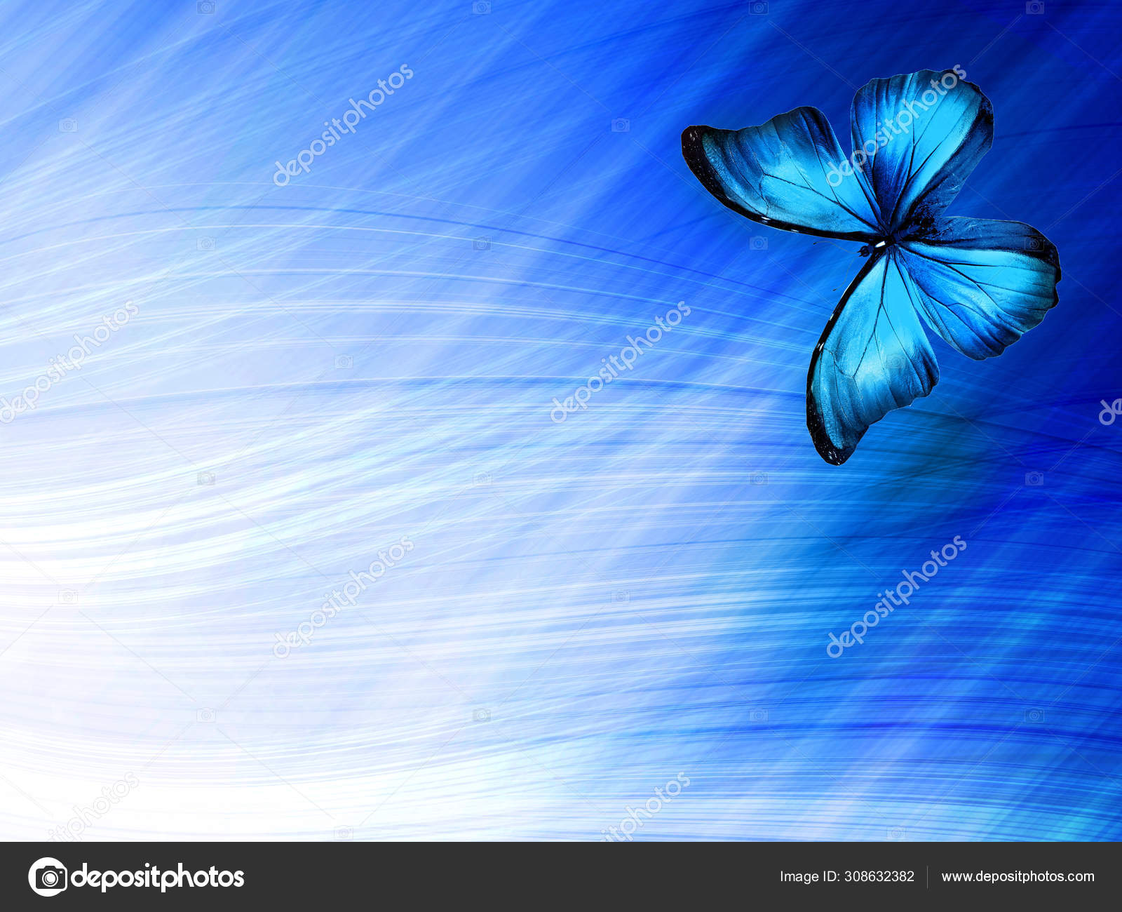 Butterfly Sky Blue Background at Jason Lindstrom blog