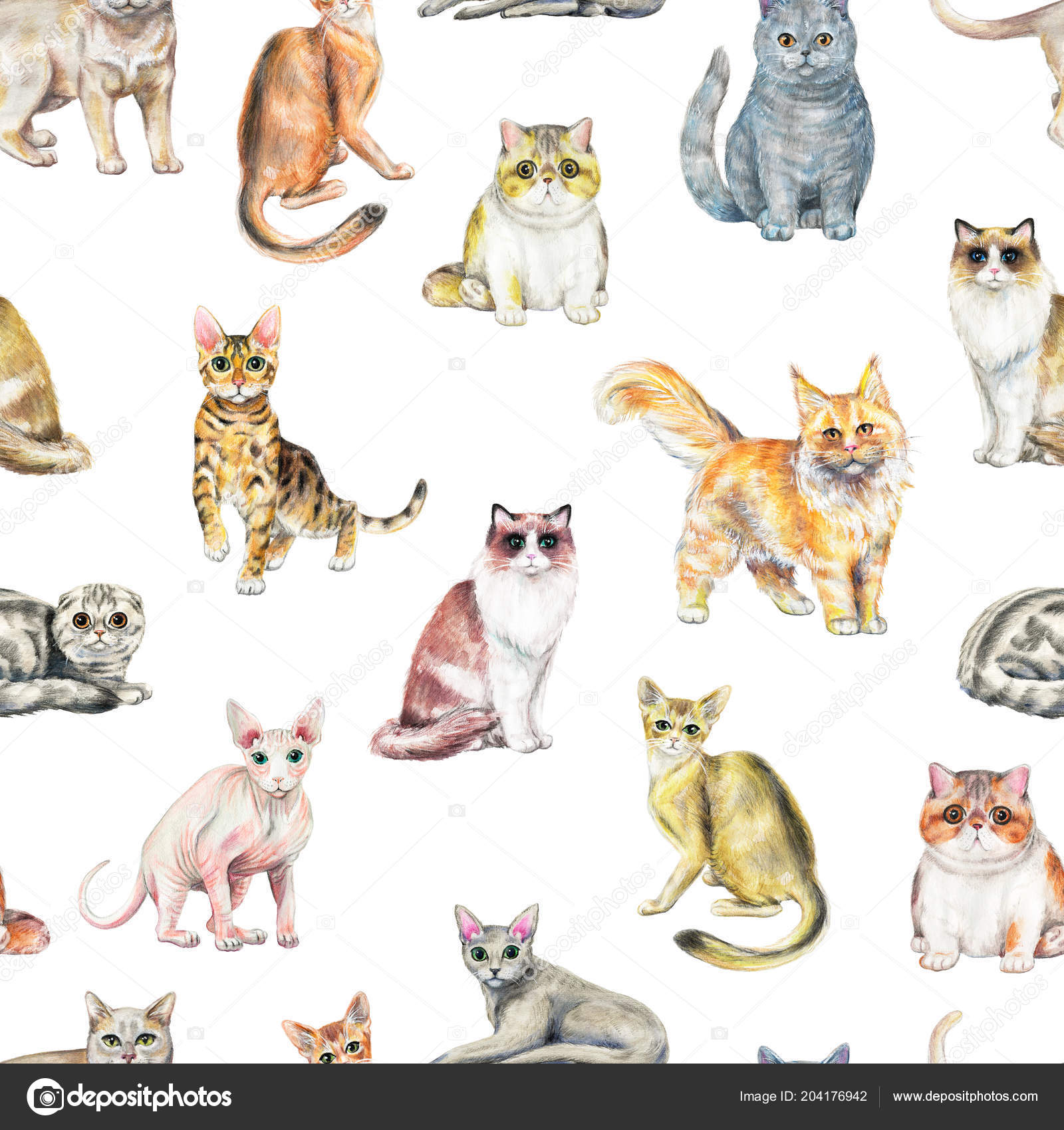 Seamless Pattern Ten Different Breeds Cats Isolated White Background ...