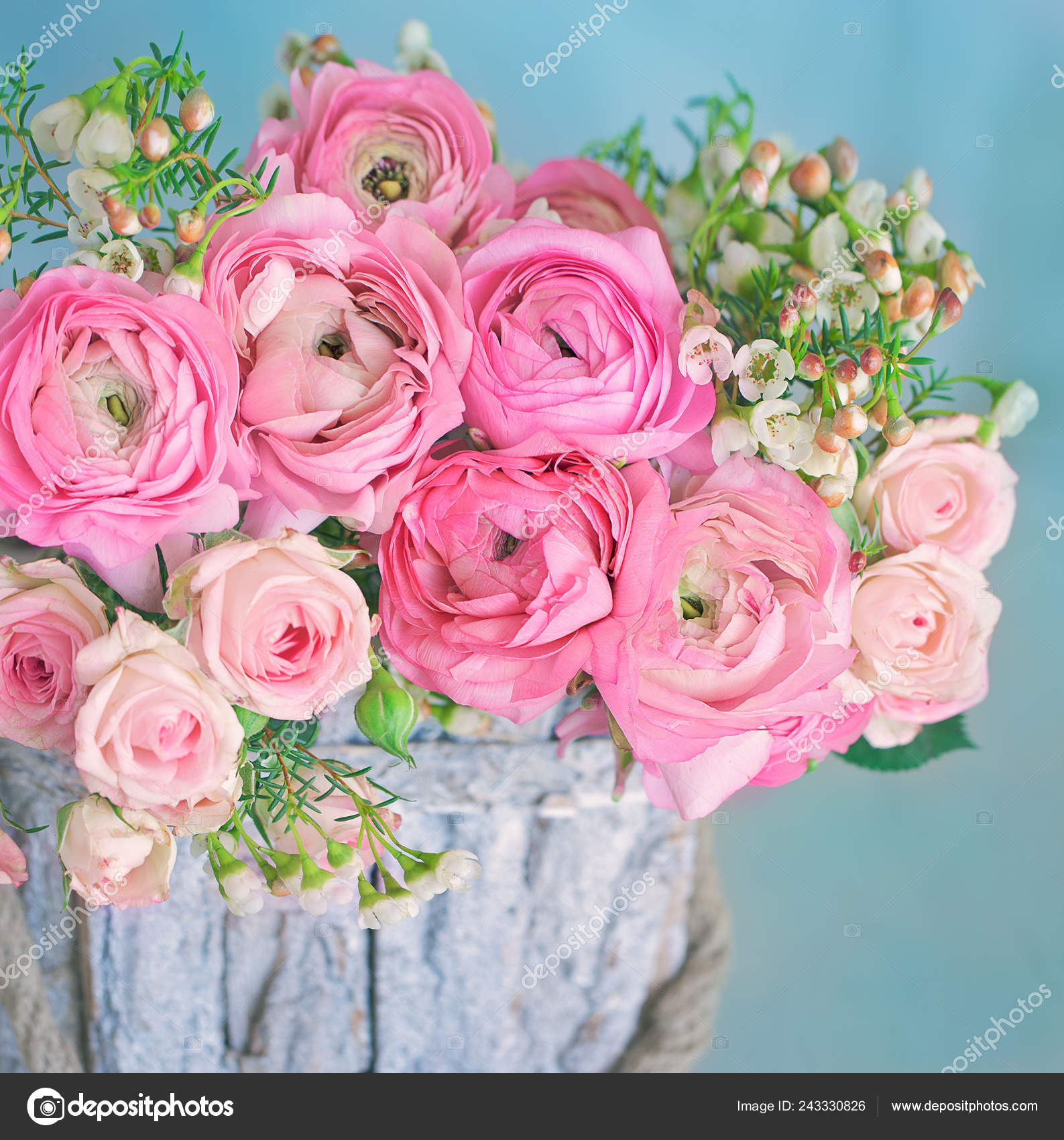 Pink Ranunculus Flowers