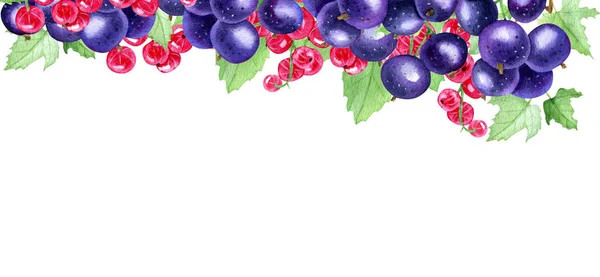 Juneberry Stock Photos, Royalty Free Juneberry Images | Depositphotos