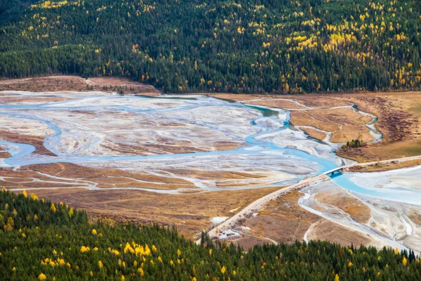 British columbia logging Stock Photos, Royalty Free British columbia ...