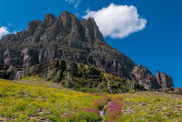 Wild flowers and mountain meadows along the Hidden Pass Trail - Stock ...